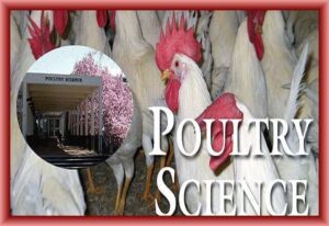 Poultry Science Terminology | Glossary of Chicken & Poultry Terms