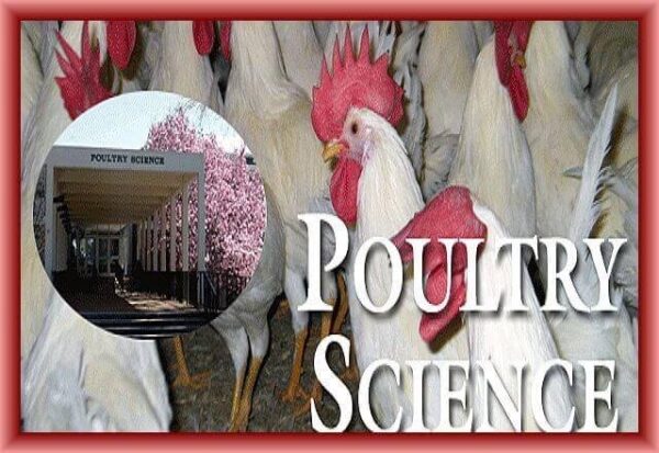 Poultry Science Terminology.