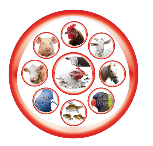 Veterinary Products – Growel Agrovet Private Limited