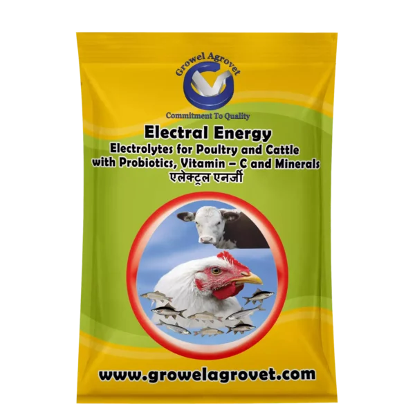 Electral Energy - Electrolytes for Dairy Cattle with Vitamins, Minerals ...