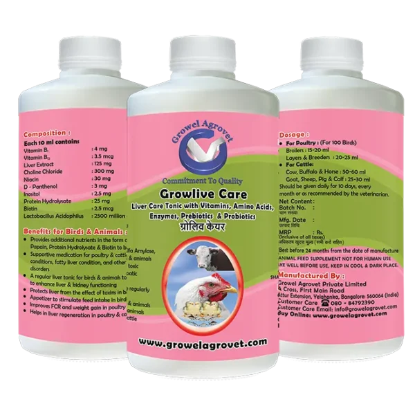 Growlive Care – Pigeons Liver Tonic with Vitamins, Amino Acids ...