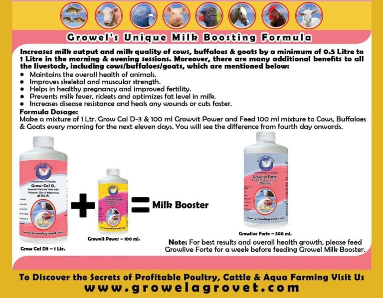 Growel Milk Booster - Growel's Unique Milk Boosting Formula - Poultry ...
