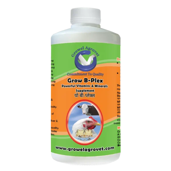 Grow B-Plex - Vitamin B-Plex for Poultry with 19 Vitamin E, Vitamin -C ...